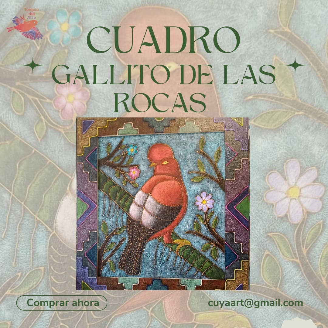Cuadro gallito de las rocas – Templo del Arte